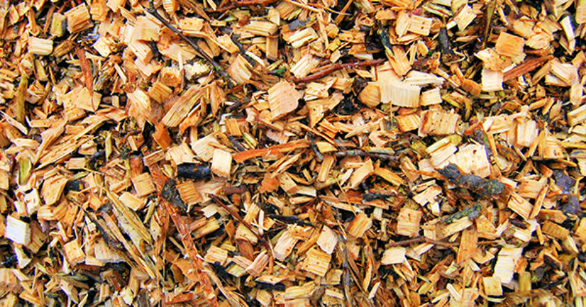 chips Archives - Waste Management Review