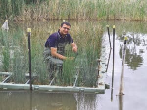 Tackling PFAS contaminants with the power of nature - WMR
