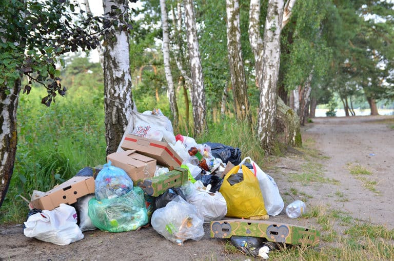 NSW EPA to deliver $1.2 funding to fight illegal dumping - Waste ...