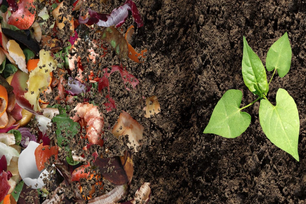 VIC to repurpose more food and garden waste - Waste Management Review