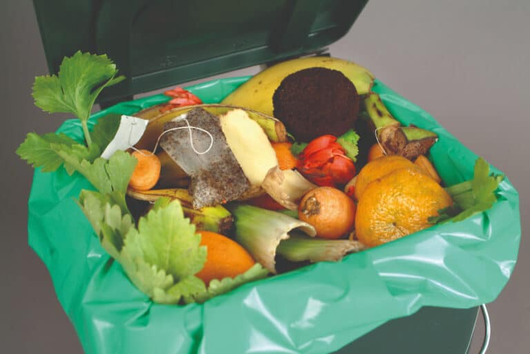 NSW passes statewide FOGO recycling mandate - Waste Management Review
