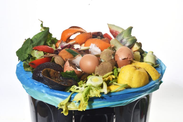 Food waste to landfill more than halved in three years: Australian Food ...