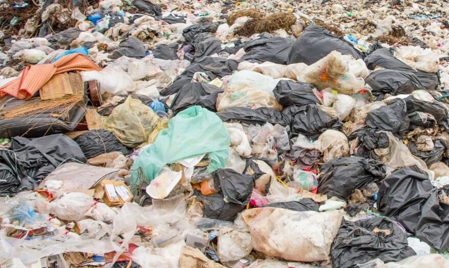 WA community groups supported through WasteSorted grants - Waste ...