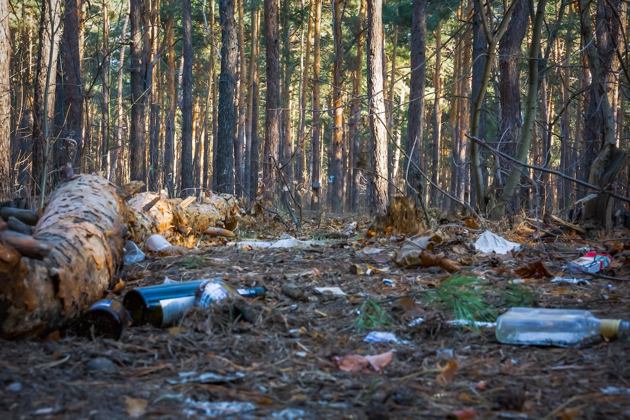 NSW EPA report shows illegal waste dumping progress, but more to be ...